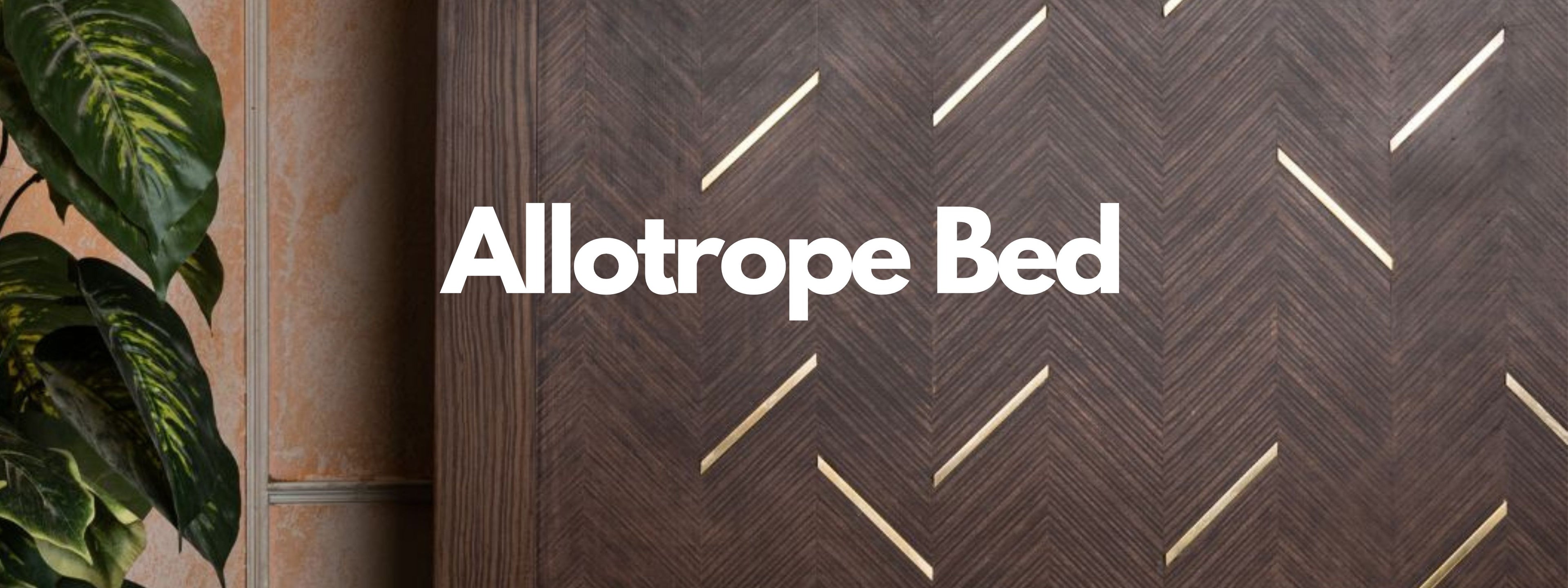 Quadko - Design Experimented